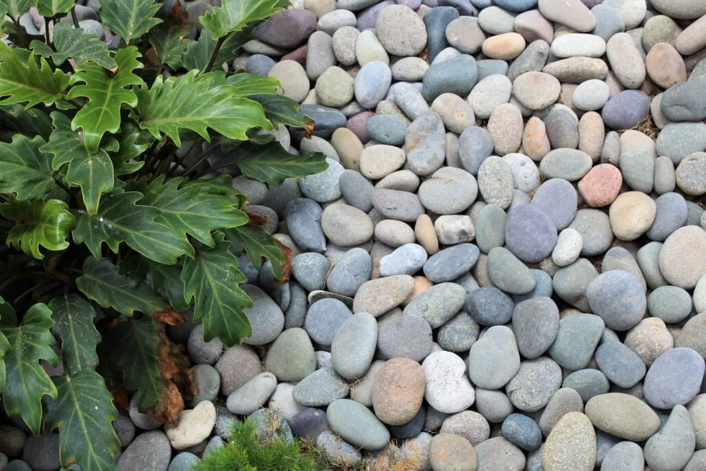 Bulk River Rock, Decorative Stone & Landscape Rock Near Me – Dallas ...